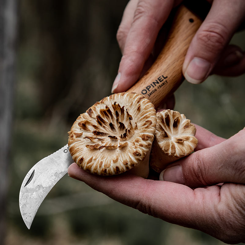 Mushroom Hunter’s Knife | Mushroom Foraging Knife – Cascadia Mushrooms